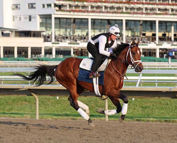 Kirkpatrick & Co. Presents In Their Care: Marc Witkowski Living The Dream With Journalism ...