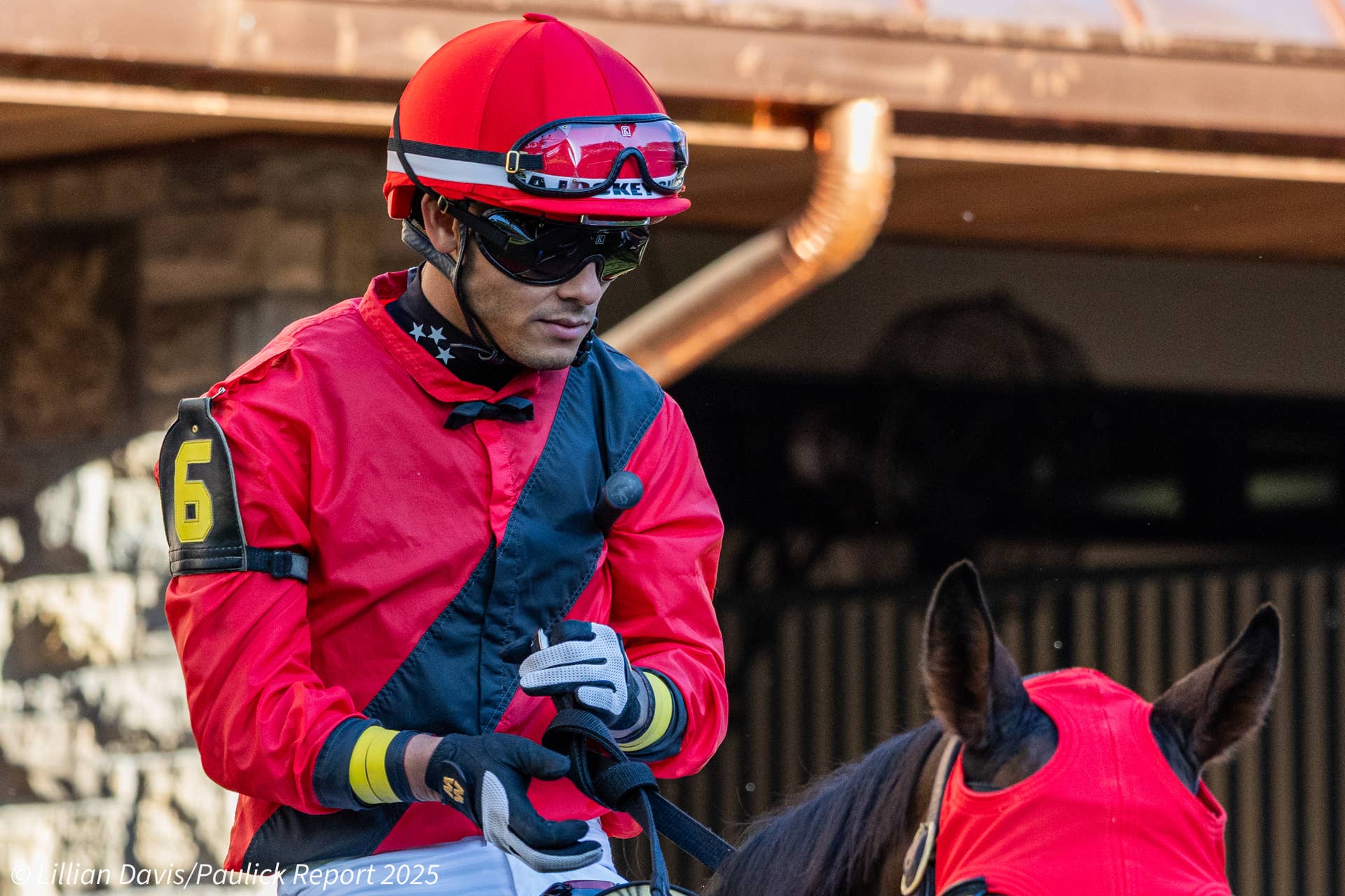 Top 5 Feel-Good Stories You Should Read Before Breeders’ Cup 2025 ...