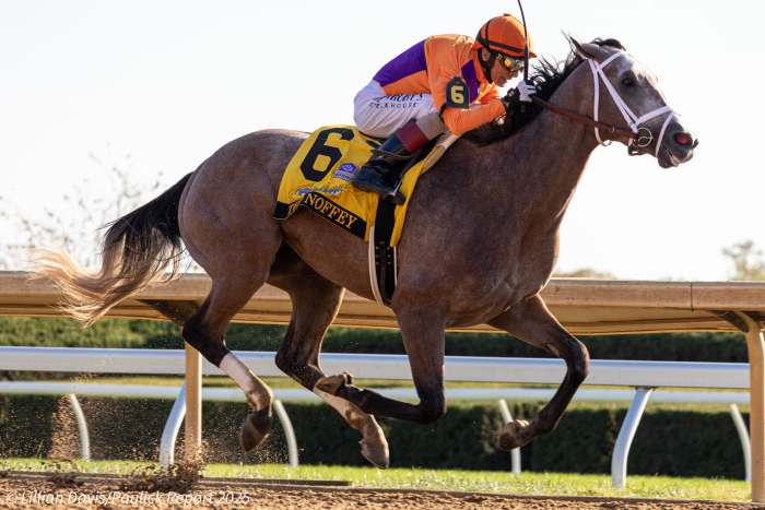 Civil Liberty Defects: Now Smallest Field In Breeders’ Cup Juvenile ...