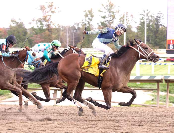 Undefeated Big Cuddle Takes On Balboa In James F. Lewis III Stakes ...