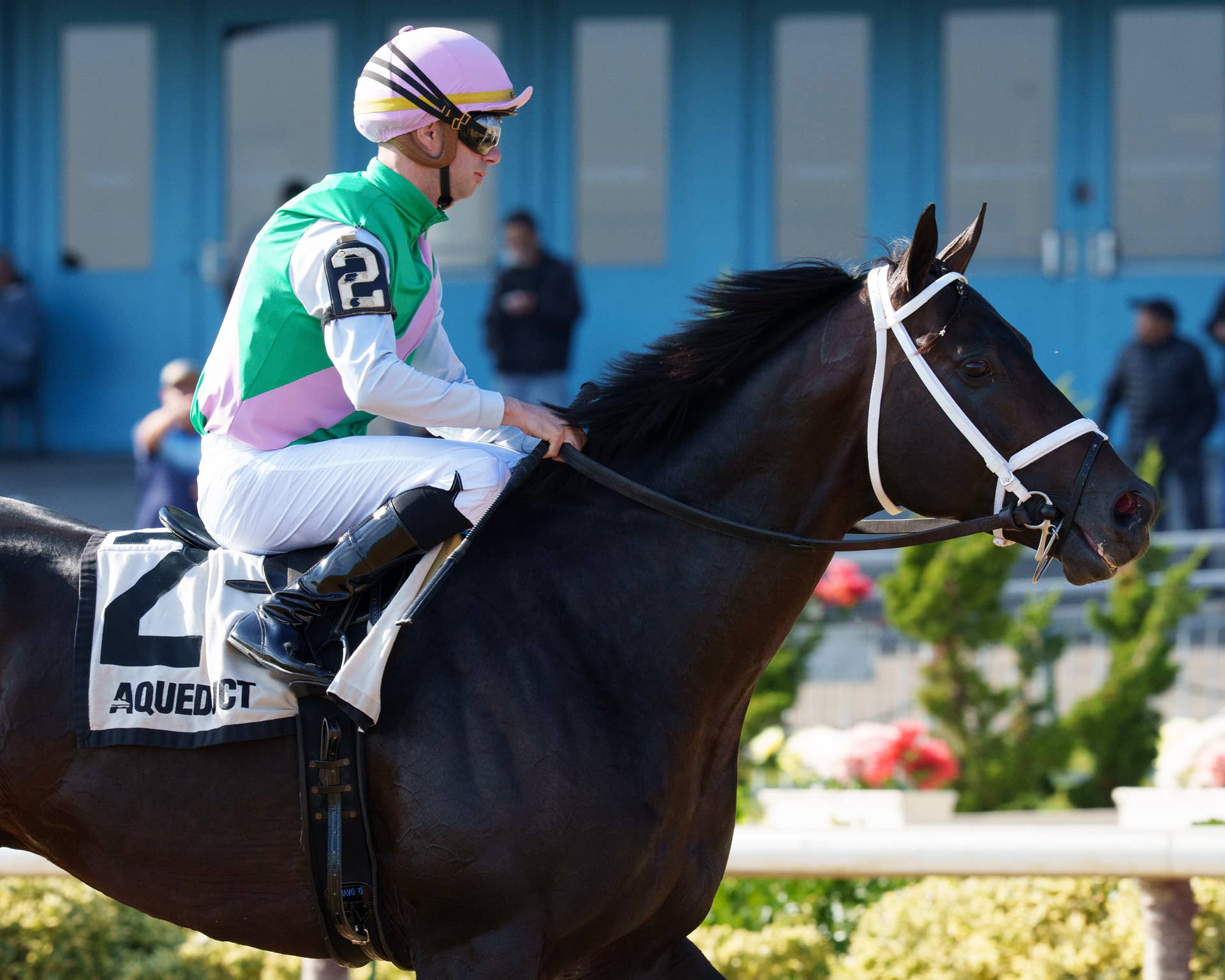 'Exciting Horse For The Future: Unbeaten Disco Time Romps Clear In ...