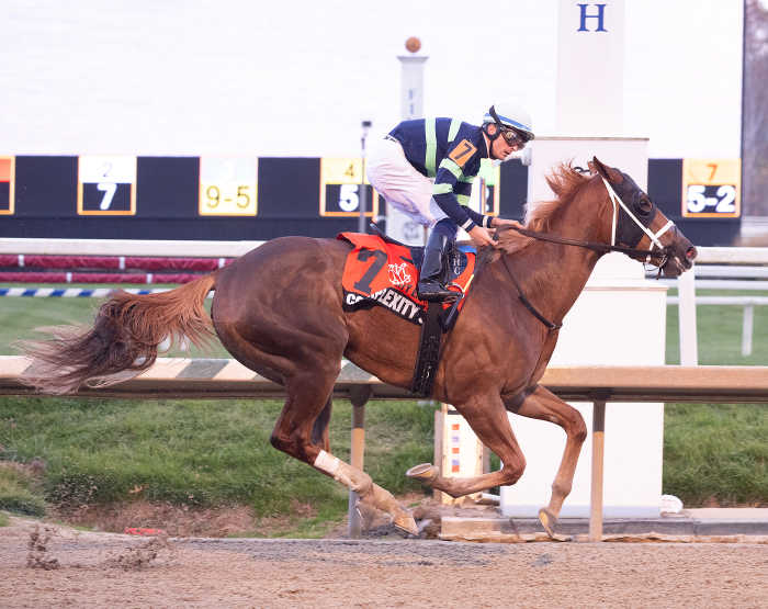 Jockey Of The Week: Sheldon Russell Wins Two Stakes At Laurel - Paulick ...