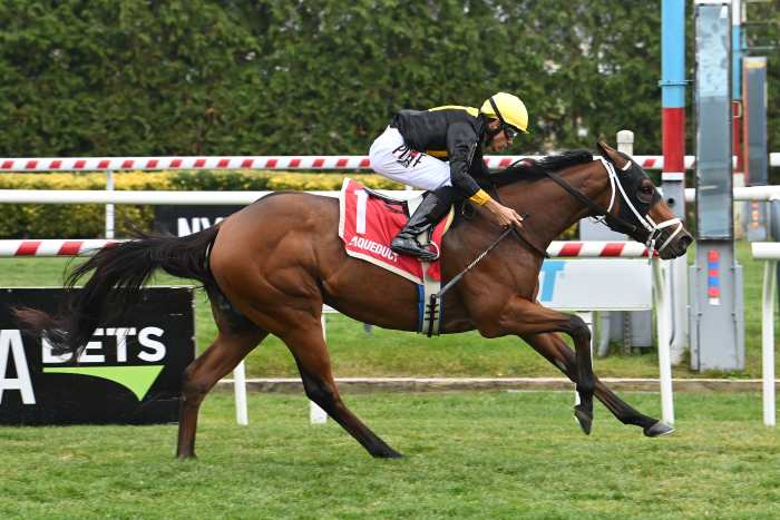 Throckmorton Scores On Front End In Aqueduct's Awad - Paulick Report ...