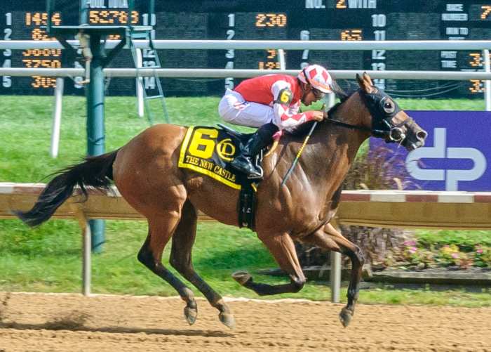 Spikezone Chasing Ninth Win Of 2024 On Delaware's Closing Day Card ...
