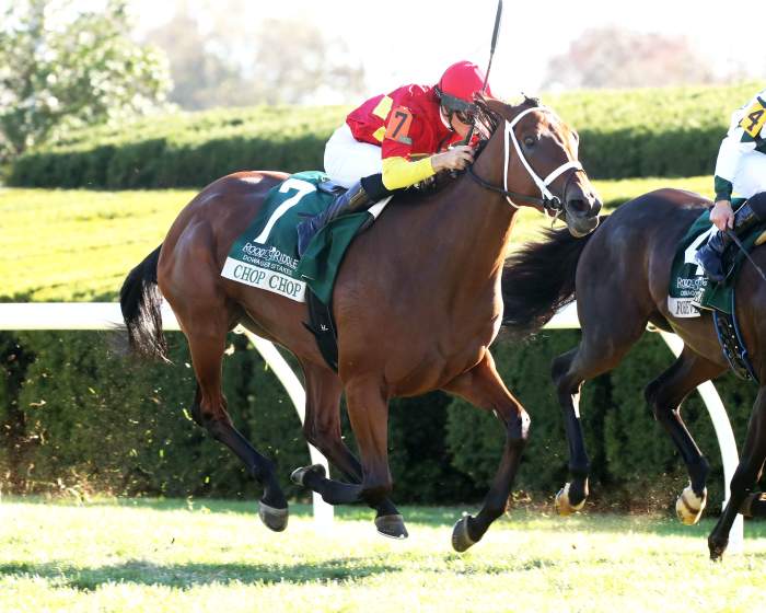 'Old Pro': Chop Chop Narrowly Prevails In Dowager - Paulick Report ...