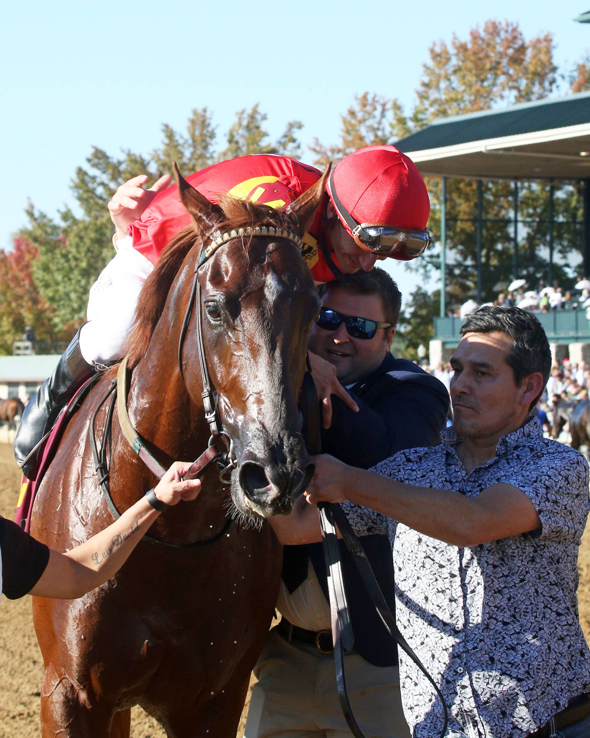 Perryville Upsetter Brunacini Headed To Cherokee Mile; Book'em Danno To ...