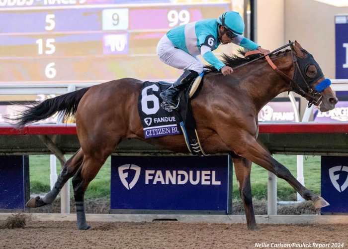 Kentucky Derby Pedigree Corner Presented By Zycosan: Citizen Bull ...