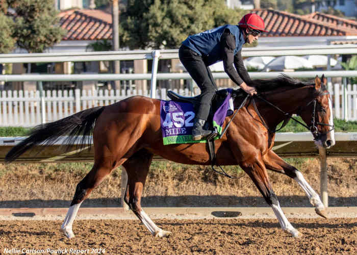 Sam Sangster’s Diego Velazquez Leads Turf Mile, Ted Noffey Returns In ...