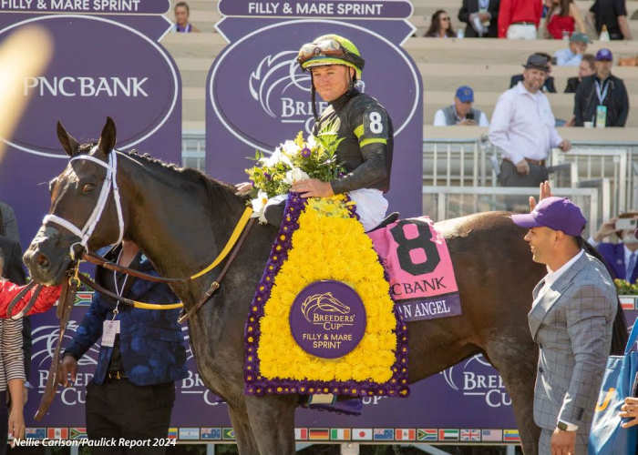 Drayden Van Dyke Whip Penalties Reduced Over Breeders’ Cup Ride ...