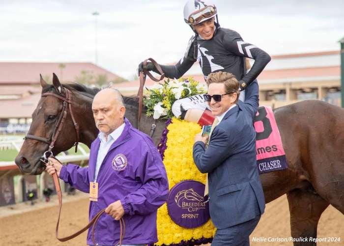 How Did A PET Scan Play A Role In Straight No Chaser's Breeders' Cup ...