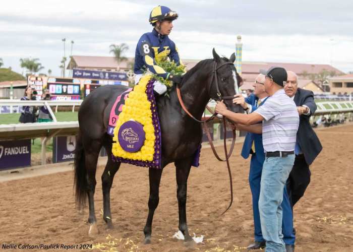 DeVaux Sets Career Milestone With More Than Looks In Breeders' Cup Mile ...