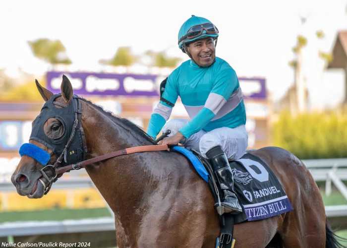 Kentucky Derby Pedigree Corner Presented By Zycosan: Citizen Bull ...