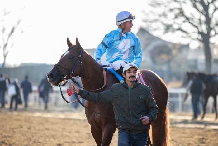 'It's A Big Step Up': Dylan Davis Continues Career-Best Year With ...