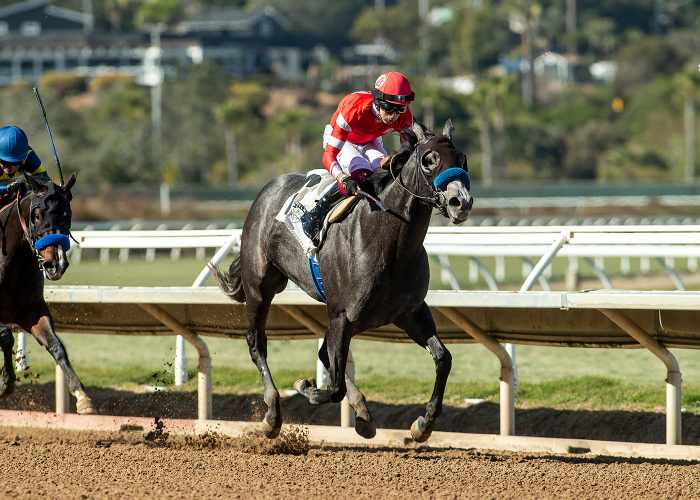 Tim Yakteen-Trained Practical Dream Denies Bob Baffert's Trio In Desi ...