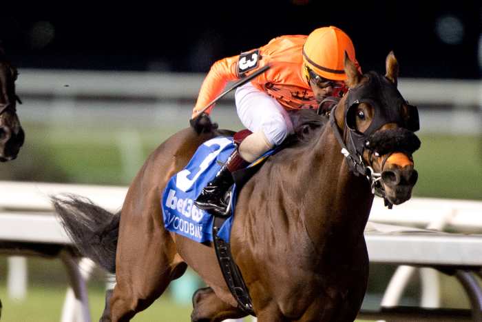 Wicked Django Upsets At 24-1 In Woodbine's Autumn - Paulick Report ...