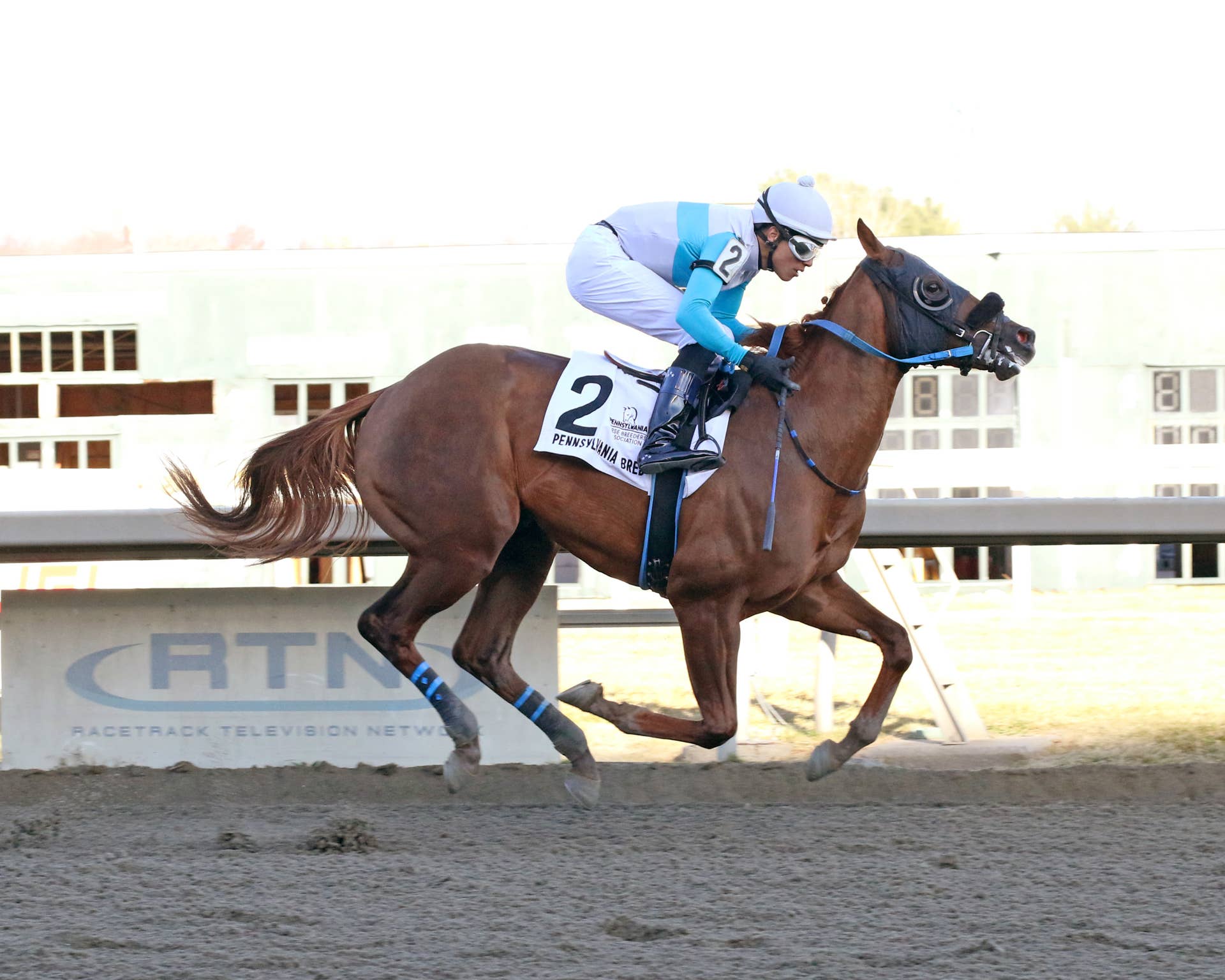 Colt Named For Late John Fenton Wins On Debut At Parx - Paulick Report ...