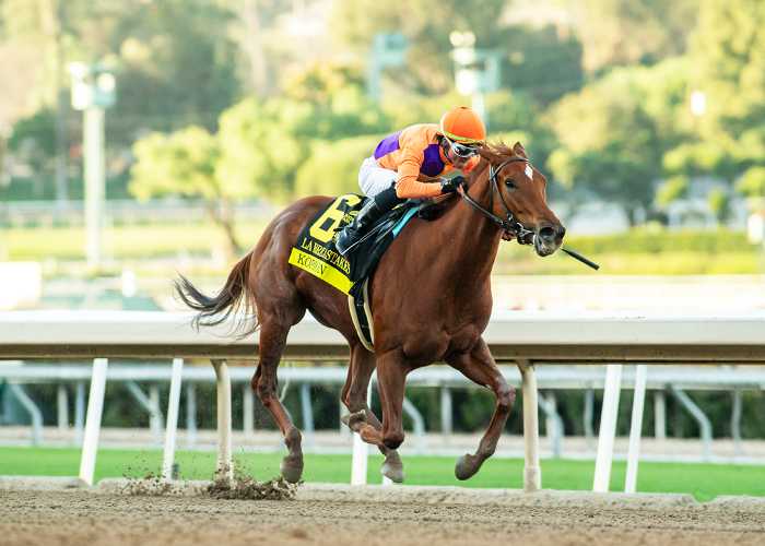 'We Are Over The Moon': Kopion Upsets La Brea After Stablemate Tamara ...