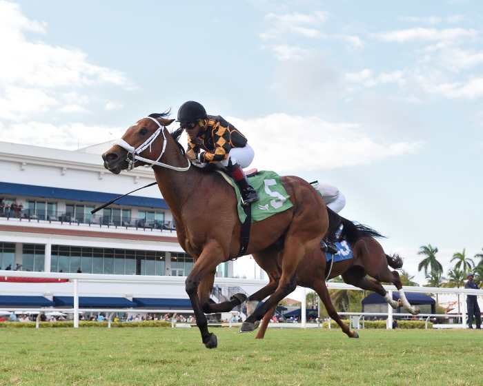 'Doing Everything Right': Naughty Rascal Eyes Third Stakes Victory In ...