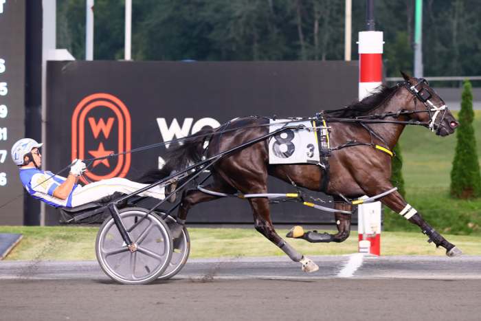 Juvenile Pacing Filly Named Canada's Harness Horse Of The Year ...