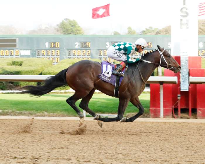 Alejandro, First Son Of Rachel's Valentina, Entering Stud At ...