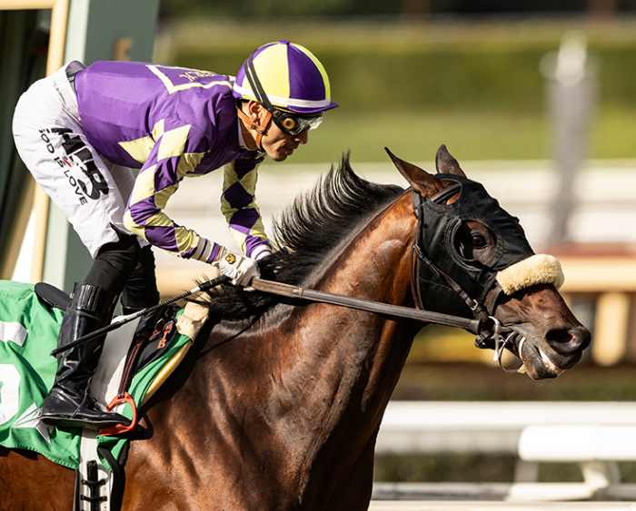 Report: Baeza 'Happy, Energetic' As Connections Hope For Kentucky Derby ...