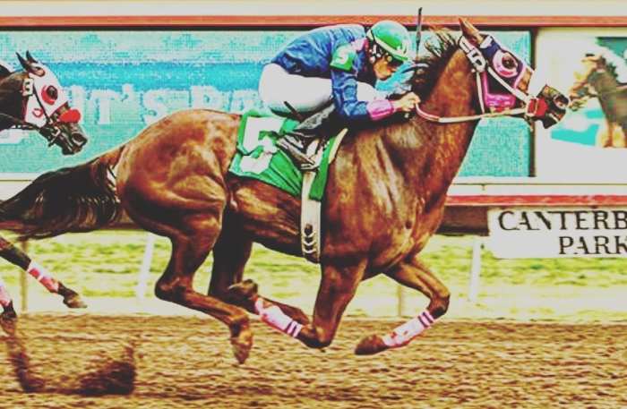 Kirkpatrick & Co. Presents In Their Care: Stable Recovery Has Given ...