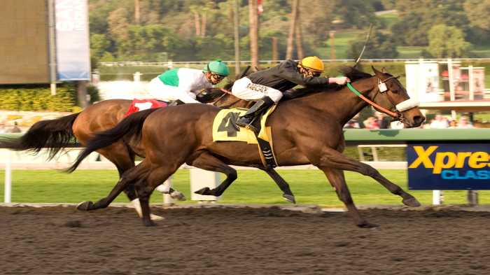 Gary Stute Remembers Papa Clem: 'That Was Probably The Best Time Of My ...