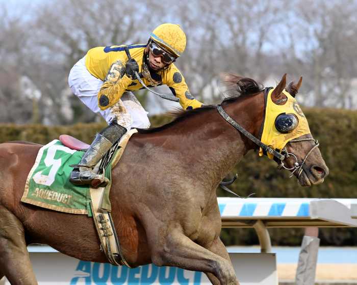 New York-Bred Bank Frenzy Rolls Home In Stymie For Third Straight Win ...