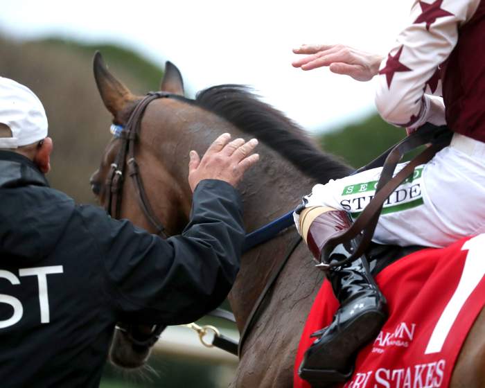 Thorpedo Anna Nabs Top Spot On NTRA Poll; Owen Almighty Joins 3-Year-Old Top 10 - Paulick Report ...