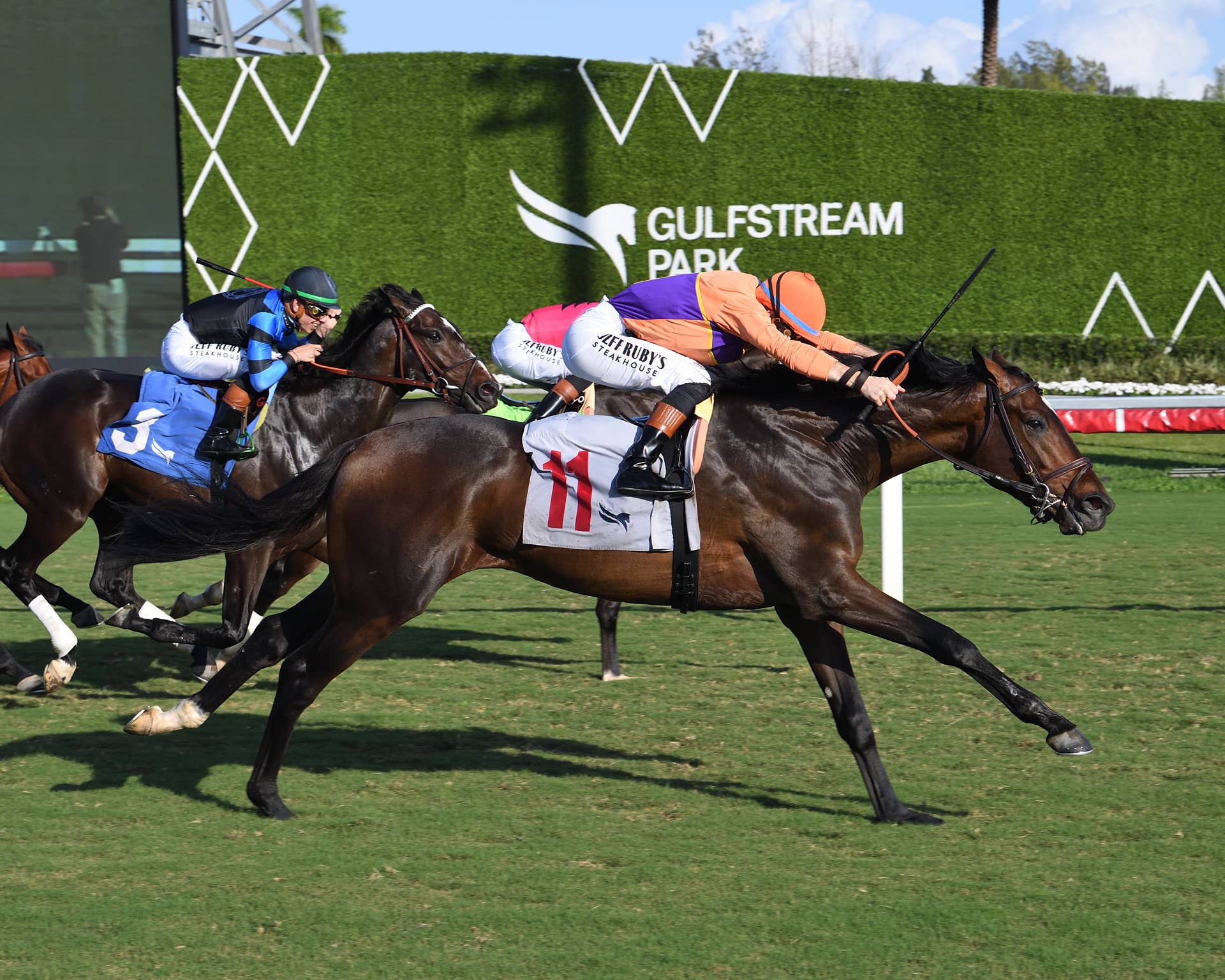 Boss Henry Upstages Rachel Alexandra's Full Brother At Gulfstream Park ...
