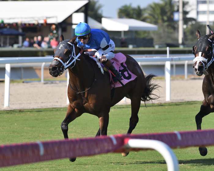 Crevalle d’Oro, Reef Runner, Ms. Bucchero Score Stakes Wins At ...