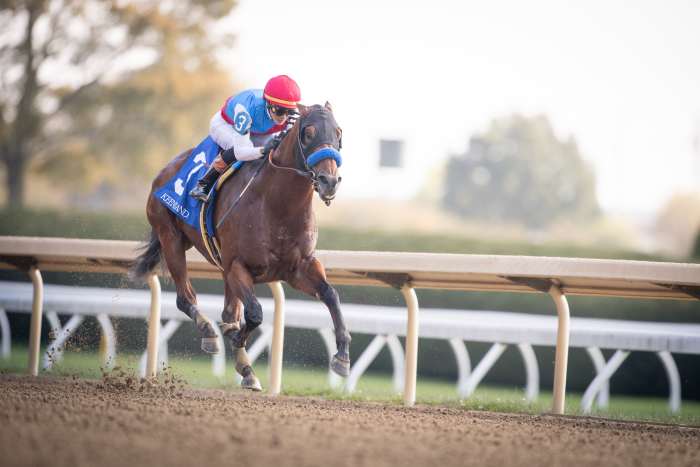 Equibase Analysis: Barnes Poised For Big Effort In Malibu - Paulick ...