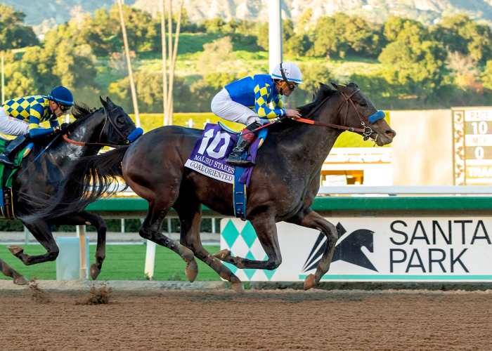 Goal Oriented Leads 1-2 Bob Baffert Malibu Finish Despite Scratch Of ...