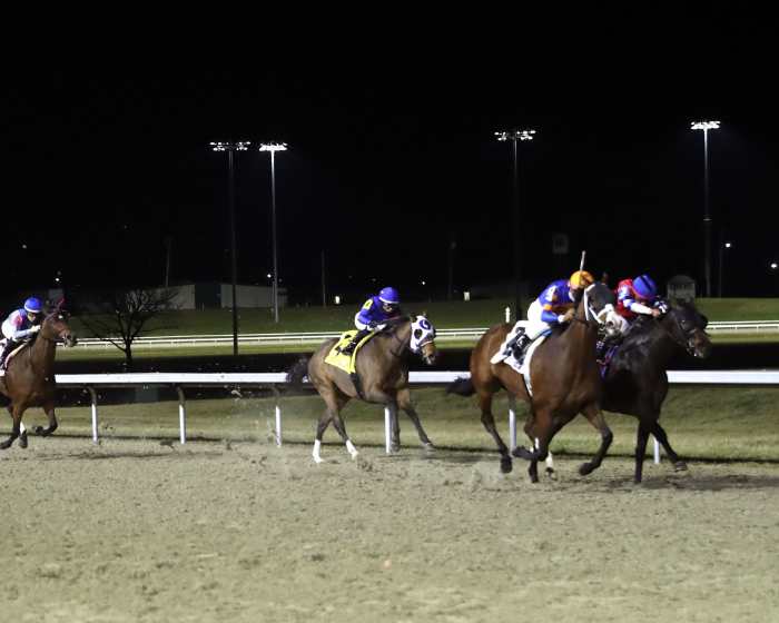 Late Surge Propels Literate To Victory In Likely Exchange - Paulick ...