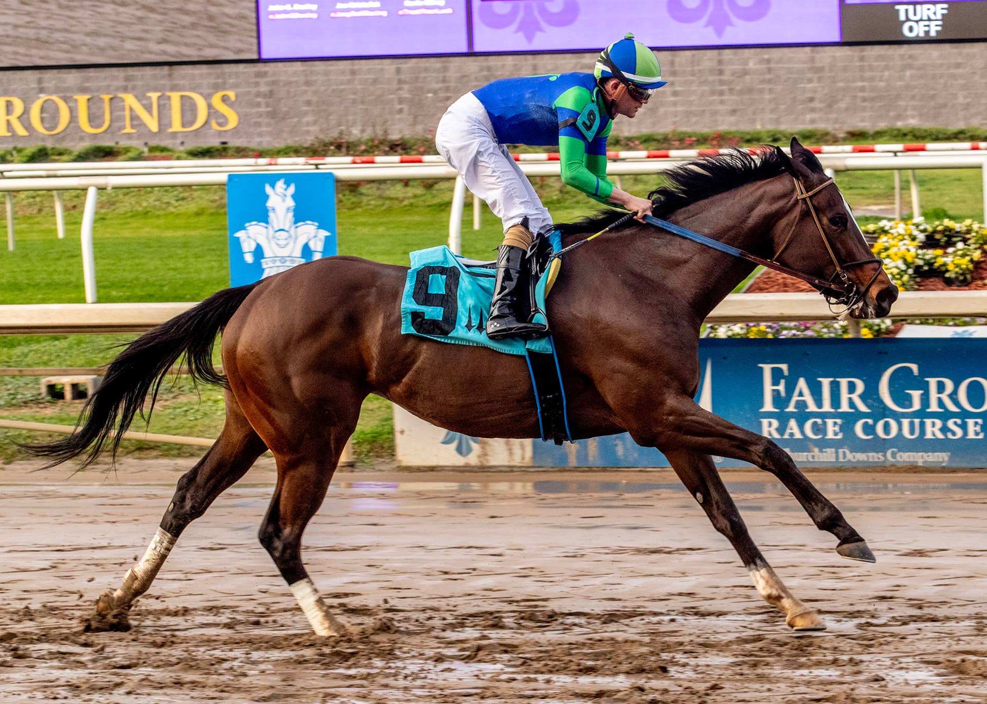 Fair Grounds: Lotsandlotsofcandy Scores On Front End In Menard Memorial ...