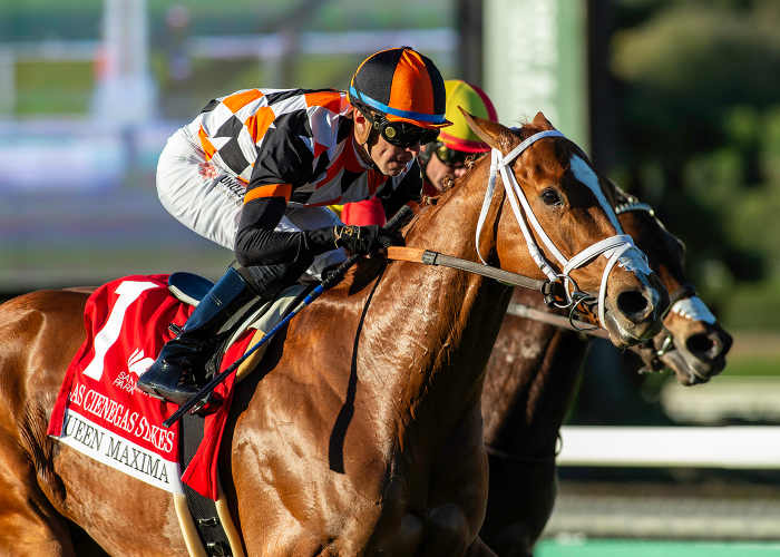 Queen Maxima Rules As Favorite In Santa Anita's Las Cienegas - Paulick ...