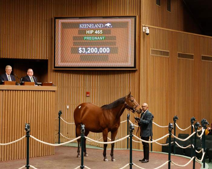 $3.2 Million Broodmare Tiffany Case Tops Opening Day Of Keeneland ...