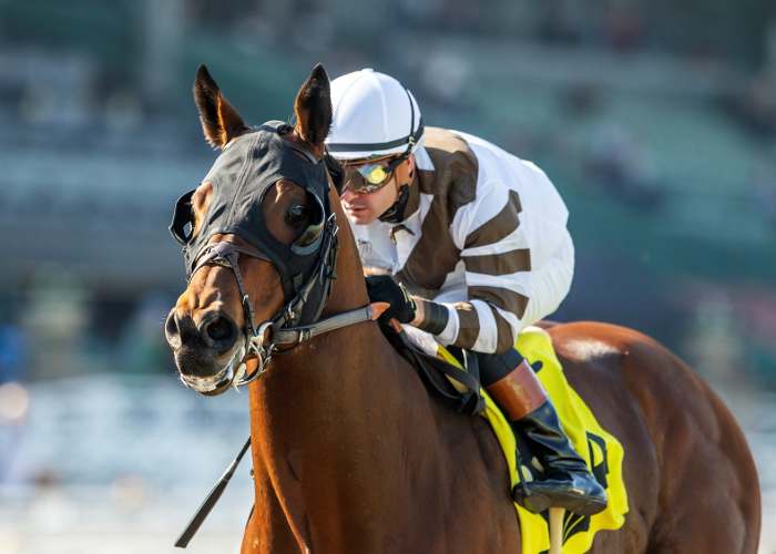 California Cup Day Brings Together The Golden State’s Best - Paulick ...