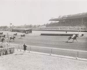 Lest We Forget: Silver Spoon's Bum Hip And What Might Have Been ...