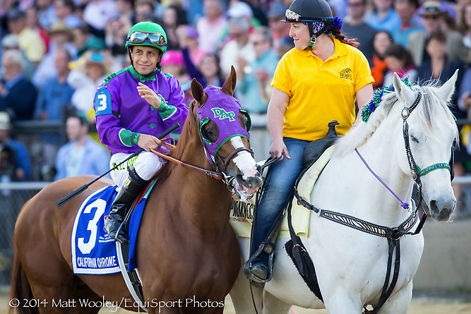 Bloodlines: Pedigree Only One Aspect of Talented, Charismatic 'Chrome ...