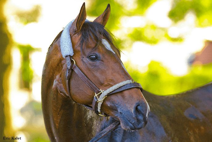 Absorbine presents Eric Kalet's Belmont Photo Blog: Easy Like Sunday ...