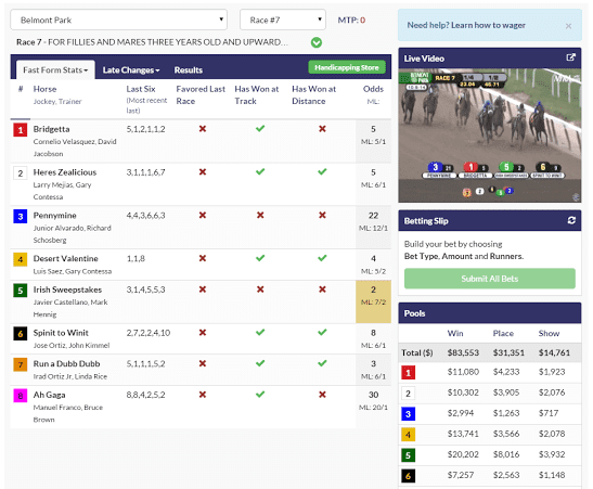 BetAmerica.com Launches New, Free Handicapping Service - Paulick Report ...