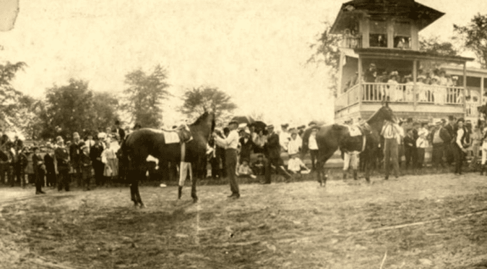 Empire State: An Intriguing History Of The New York Thoroughbred ...