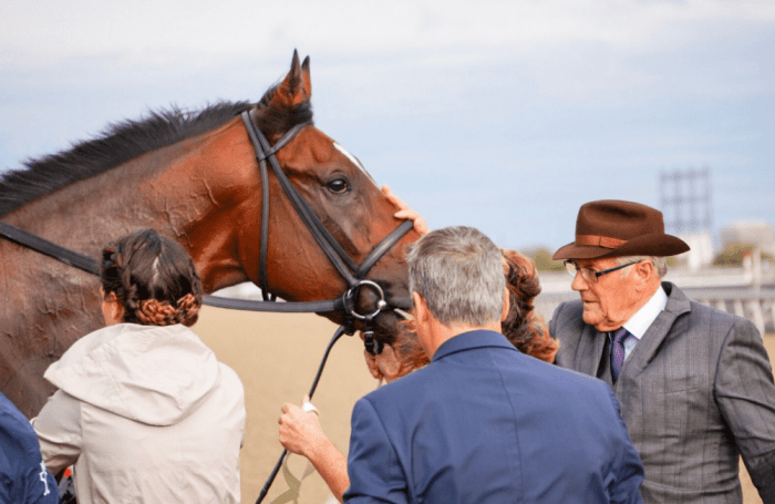 Tiz A Slam Turns The Tables On Holy Helena In Ontario Derby - Paulick ...