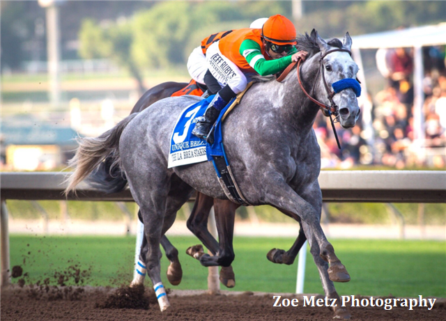 Reivindicada: Unique Bella Retoma La Ruta Ganadora Superando A Paradise ...