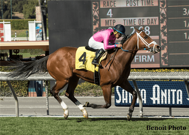 Conquest Tsunami Y Richard's Boy: De La Tragedia De San Luis Rey A ...