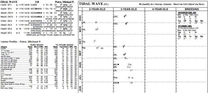 Figure Makers: Companies With A 'Graphic' Demonstration - Paulick ...