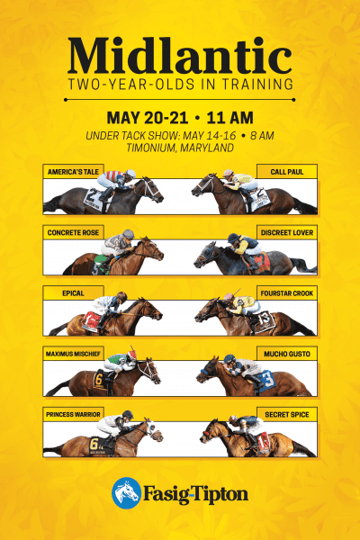 Street Sense Colt Fastest On First Day Of Fasig-Tipton Midlantic Sale ...