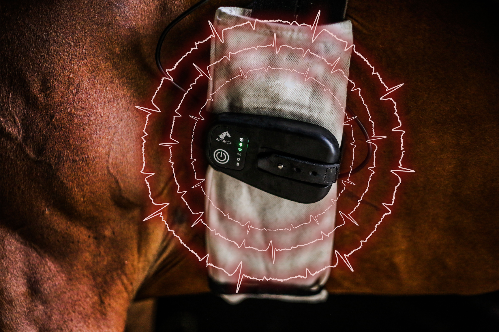 Live Data Transmission: Arioneo Unveils New Equimetre 2.0 Sensor ...