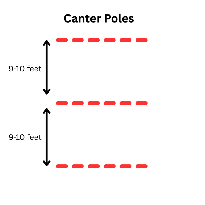 OTTB Training Toolkit Presented By Doc Lane's Veterinary Pharmacy ...